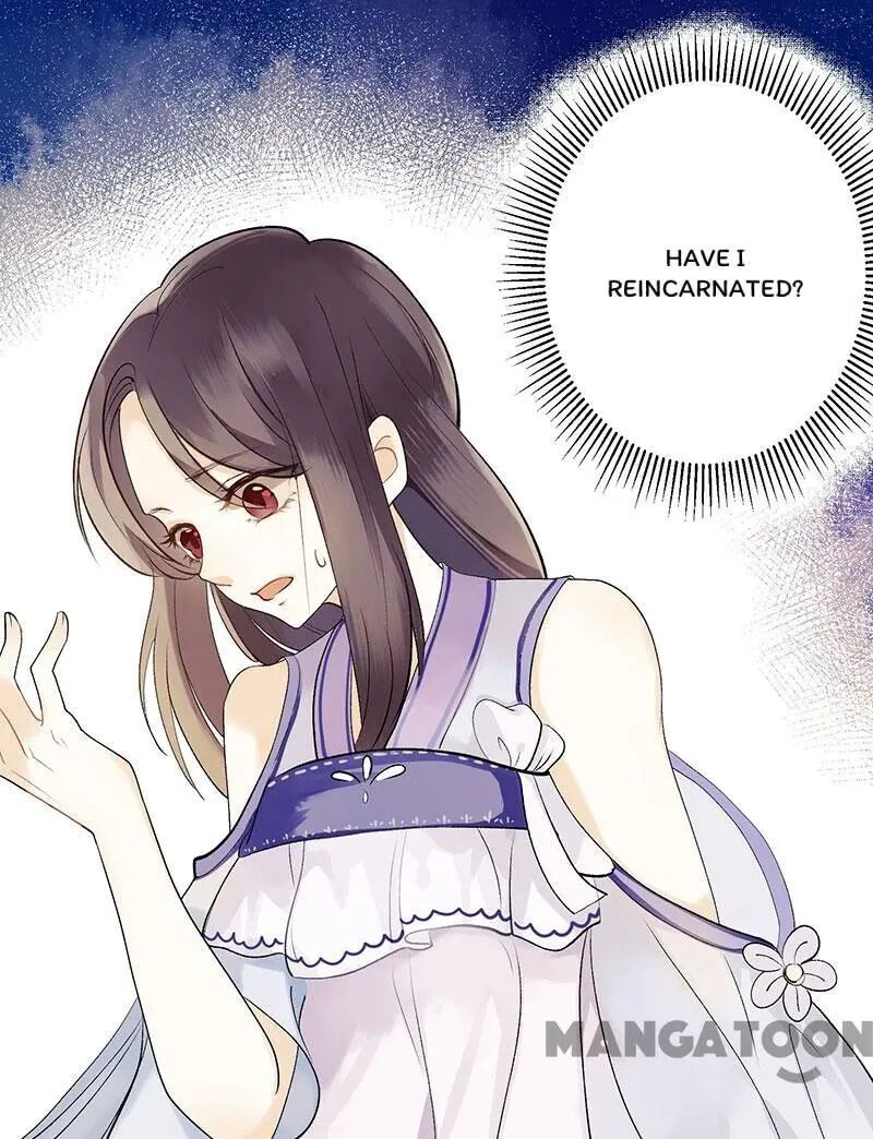 First Miss Reborn - Chapter 3 - Toonclash