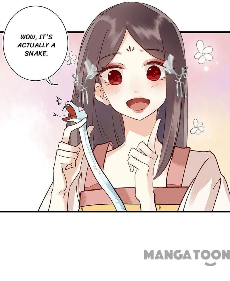 First Miss Reborn - Chapter 7 - Toonclash